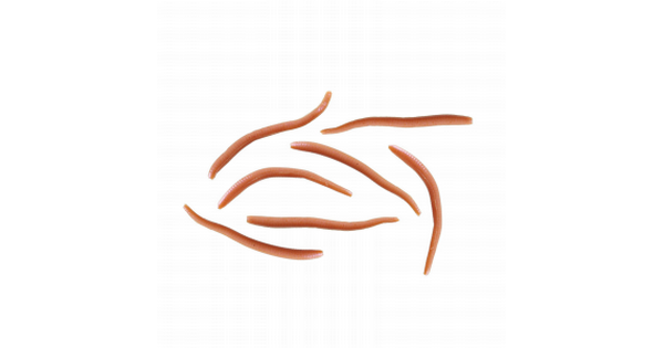 Save 15% on a Berkley Gulp! Alive! Angle Worms